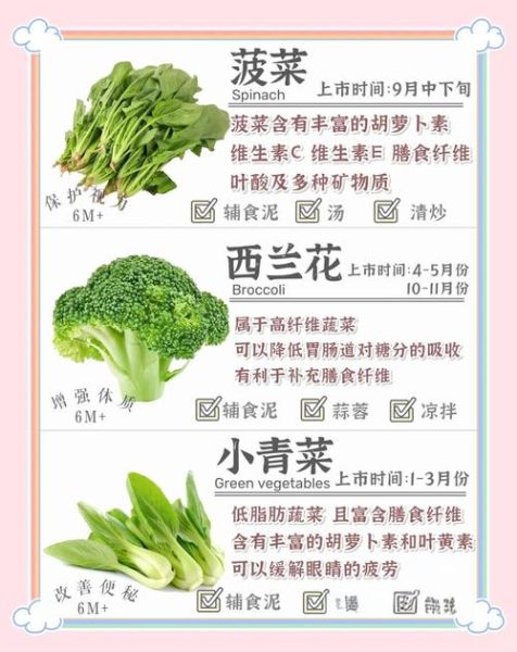 绿色蔬菜有哪些_绿色蔬菜怎么保存最新鲜-第1张图片-山城妙识 绿色蔬菜有哪些_绿色蔬菜怎么保存最新鲜-第1张图片-山城妙识