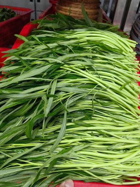 绿色蔬菜有哪些_绿色蔬菜怎么保存最新鲜-第3张图片-山城妙识 绿色蔬菜有哪些_绿色蔬菜怎么保存最新鲜-第3张图片-山城妙识