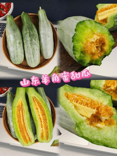 羊角蜜甜瓜的功效与作用_孕妇能吃吗-第2张图片-山城妙识 羊角蜜甜瓜的功效与作用_孕妇能吃吗-第2张图片-山城妙识