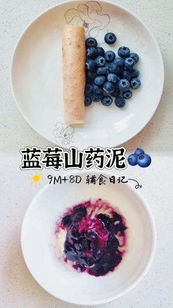 蓝莓山药辅食怎么做_宝宝能吃蓝莓山药吗-第3张图片-山城妙识