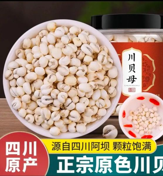 川贝图片多少钱一斤_川贝市场价格2024-第2张图片-山城妙识 川贝图片多少钱一斤_川贝市场价格2024-第2张图片-山城妙识