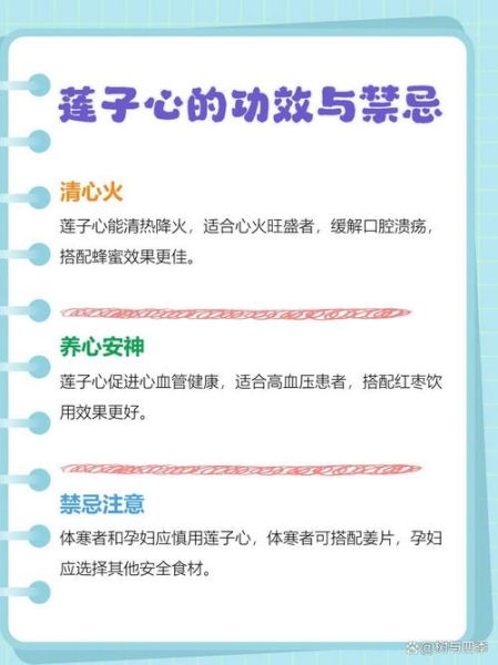 莲子心泡水喝的功效与禁忌_莲子心副作用有哪些-第2张图片-山城妙识 莲子心泡水喝的功效与禁忌_莲子心副作用有哪些-第2张图片-山城妙识