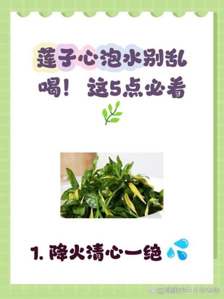 莲子心泡水喝的功效与禁忌_莲子心副作用有哪些-第3张图片-山城妙识 莲子心泡水喝的功效与禁忌_莲子心副作用有哪些-第3张图片-山城妙识