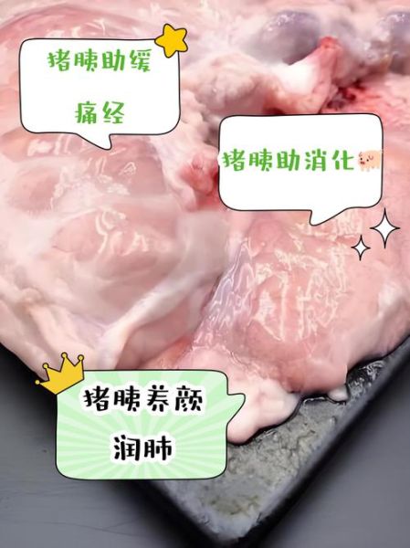 猪胰腺的功效与作用_猪胰腺怎么做好吃-第2张图片-山城妙识