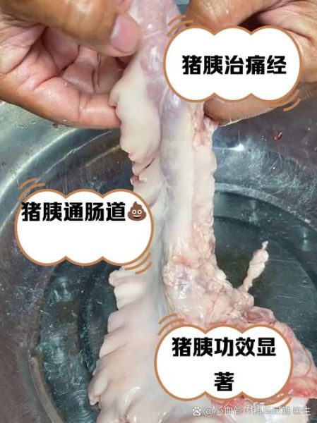 猪胰腺的功效与作用_猪胰腺怎么做好吃-第3张图片-山城妙识