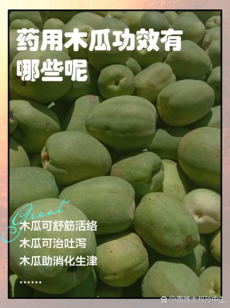 甜木瓜的作用与功效_甜木瓜怎么吃最营养-第1张图片-山城妙识 甜木瓜的作用与功效_甜木瓜怎么吃最营养-第1张图片-山城妙识