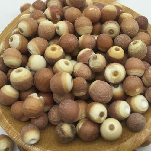 芡实长什么样_芡实图片特征-第1张图片-山城妙识 芡实长什么样_芡实图片特征-第1张图片-山城妙识