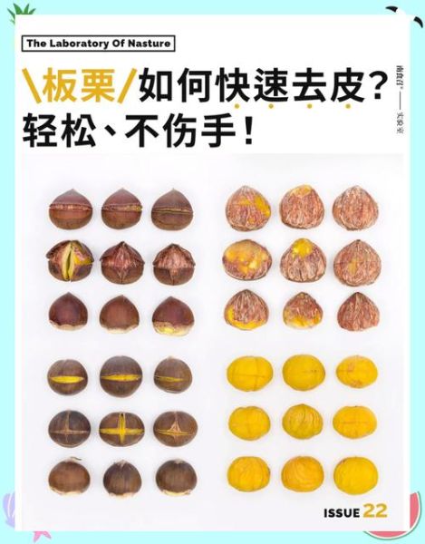 板栗怎么快速去皮_生板栗剥皮小窍门-第2张图片-山城妙识 板栗怎么快速去皮_生板栗剥皮小窍门-第2张图片-山城妙识