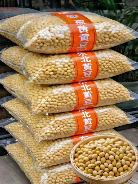 现在黄豆多少钱一斤_黄豆价格走势2024-第2张图片-山城妙识