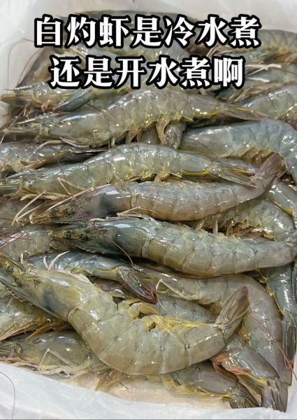 水煮虾煮几分钟好吃_水煮虾最佳时间-第2张图片-山城妙识