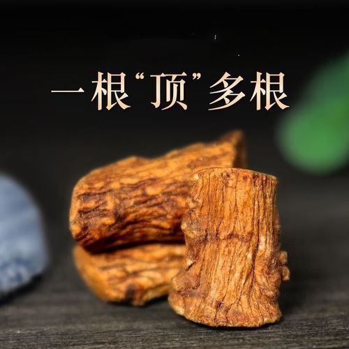 蒲公英的根泡水喝有什么好处_蒲公英根茶的功效与禁忌-第3张图片-山城妙识 蒲公英的根泡水喝有什么好处_蒲公英根茶的功效与禁忌-第3张图片-山城妙识