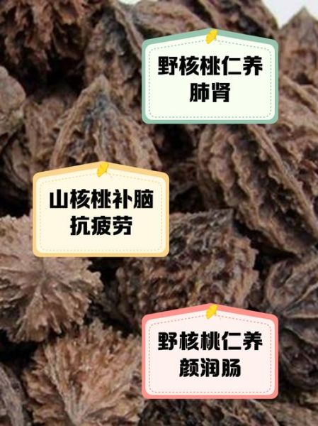 野生山核桃多少钱一斤_野生山核桃功效与作用-第1张图片-山城妙识 野生山核桃多少钱一斤_野生山核桃功效与作用-第1张图片-山城妙识