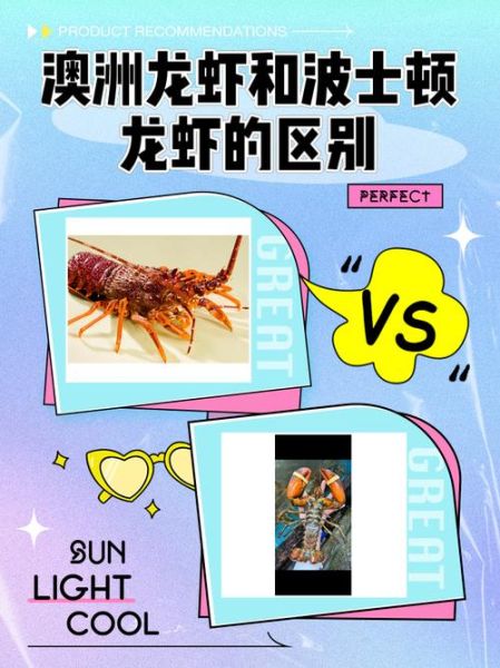 波士顿龙虾和澳洲龙虾的区别_哪个更好吃-第1张图片-山城妙识 波士顿龙虾和澳洲龙虾的区别_哪个更好吃-第1张图片-山城妙识
