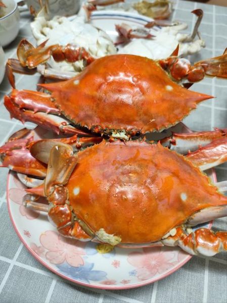 蒸螃蟹冷水还是开水_蒸螃蟹的正确做法步骤-第1张图片-山城妙识 蒸螃蟹冷水还是开水_蒸螃蟹的正确做法步骤-第1张图片-山城妙识