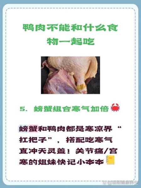 鸭肉与什么相克_鸭肉不能和什么一起吃-第3张图片-山城妙识 鸭肉与什么相克_鸭肉不能和什么一起吃-第3张图片-山城妙识