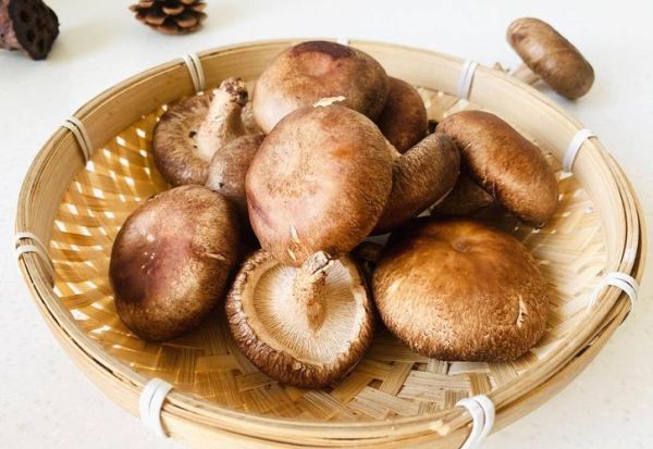 花菇和香菇的味道有什么区别_哪个更香-第1张图片-山城妙识 花菇和香菇的味道有什么区别_哪个更香-第1张图片-山城妙识