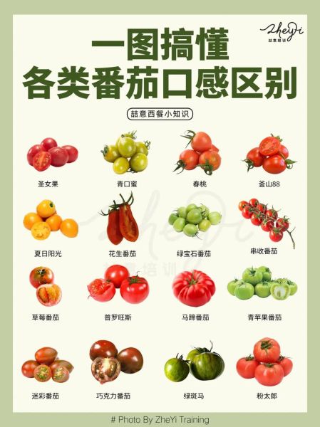 小番茄和大番茄的区别_哪个更营养-第1张图片-山城妙识