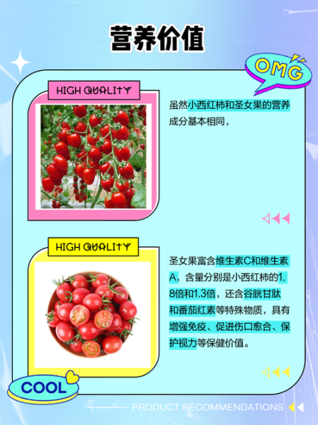 小番茄和大番茄的区别_哪个更营养-第3张图片-山城妙识