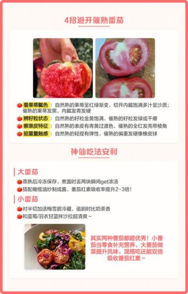 小番茄和大番茄的区别_哪个更营养-第2张图片-山城妙识