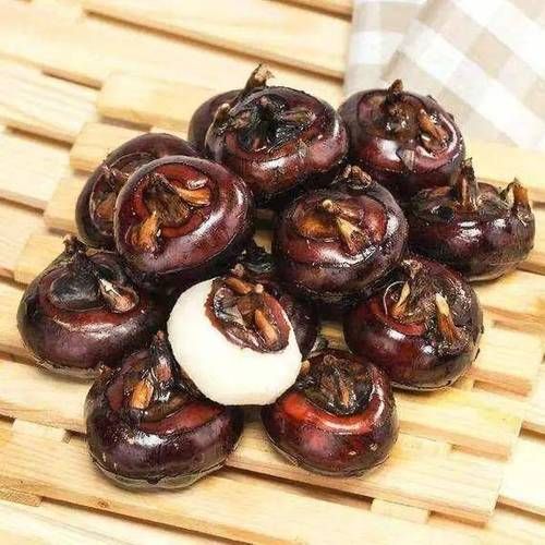 和荸荠相似的植物有哪些_怎么区分-第1张图片-山城妙识 和荸荠相似的植物有哪些_怎么区分-第1张图片-山城妙识