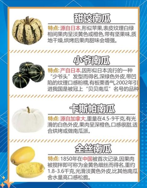 番瓜和南瓜的区别_哪个更营养-第3张图片-山城妙识 番瓜和南瓜的区别_哪个更营养-第3张图片-山城妙识
