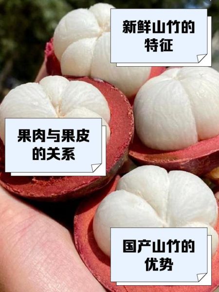 山竹怎么挑选_山竹一天吃几个合适-第3张图片-山城妙识 山竹怎么挑选_山竹一天吃几个合适-第3张图片-山城妙识