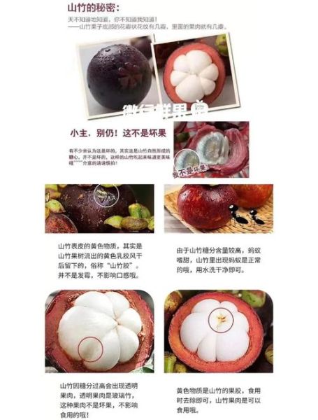 山竹怎么挑选_山竹一天吃几个合适-第1张图片-山城妙识 山竹怎么挑选_山竹一天吃几个合适-第1张图片-山城妙识
