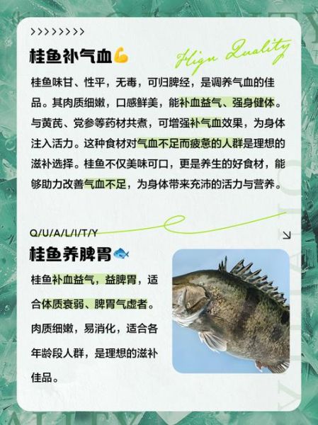 桂鱼的功效与作用_桂鱼的禁忌有哪些-第1张图片-山城妙识 桂鱼的功效与作用_桂鱼的禁忌有哪些-第1张图片-山城妙识