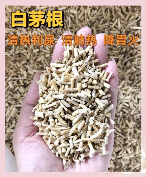 白茅根晚上不能喝_白茅根晚上喝会失眠吗-第3张图片-山城妙识