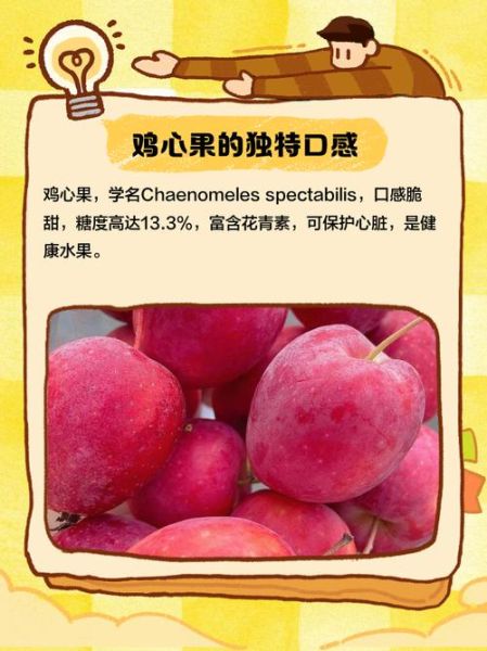 鸡心果怎么挑选_鸡心果的功效与作用-第2张图片-山城妙识 鸡心果怎么挑选_鸡心果的功效与作用-第2张图片-山城妙识