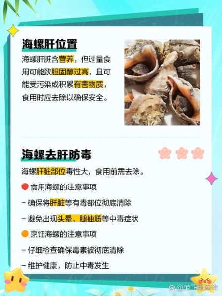 海螺哪些部位不能吃_海螺内脏图解-第3张图片-山城妙识 海螺哪些部位不能吃_海螺内脏图解-第3张图片-山城妙识