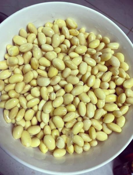 泡黄豆用冷水还是热水_泡多久才能煮-第1张图片-山城妙识 泡黄豆用冷水还是热水_泡多久才能煮-第1张图片-山城妙识