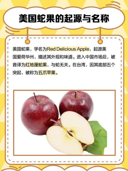 蛇果为什么叫蛇果_蛇果名称由来-第2张图片-山城妙识 蛇果为什么叫蛇果_蛇果名称由来-第2张图片-山城妙识