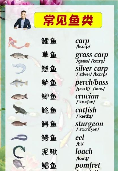 what_is_squirrel_mandarin_fish_how_to_cook_sweet_sour_squirrel_fish-第1张图片-山城妙识 what_is_squirrel_mandarin_fish_how_to_cook_sweet_sour_squirrel_fish-第1张图片-山城妙识