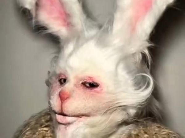 复活节兔子为什么恐怖_恐怖传说起源-第2张图片-山城妙识 复活节兔子为什么恐怖_恐怖传说起源-第2张图片-山城妙识