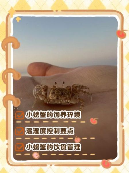 螃蟹怎么养殖_螃蟹养殖需要什么条件-第1张图片-山城妙识 螃蟹怎么养殖_螃蟹养殖需要什么条件-第1张图片-山城妙识