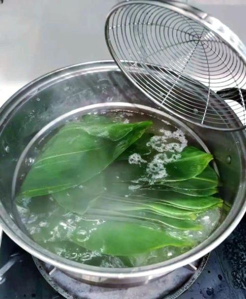 煮粽叶用冷水还是热水_粽叶煮多久才够软-第2张图片-山城妙识 煮粽叶用冷水还是热水_粽叶煮多久才够软-第2张图片-山城妙识