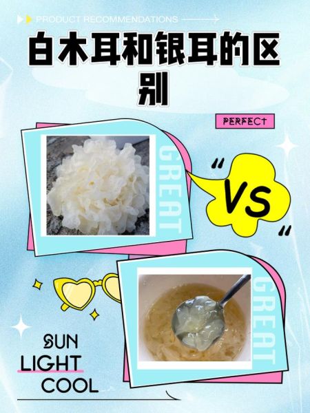 白木耳和银耳的区别_哪个营养价值更高-第1张图片-山城妙识 白木耳和银耳的区别_哪个营养价值更高-第1张图片-山城妙识