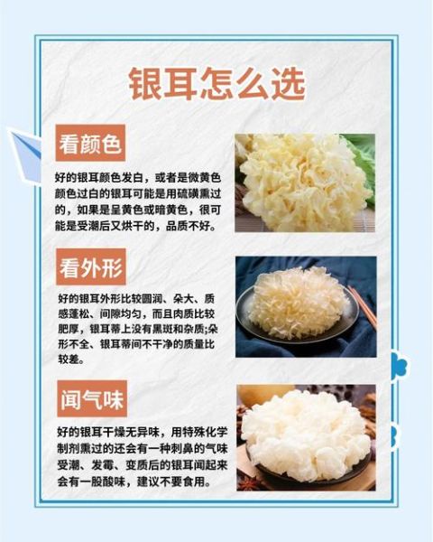 白木耳和银耳的区别_哪个营养价值更高-第2张图片-山城妙识 白木耳和银耳的区别_哪个营养价值更高-第2张图片-山城妙识