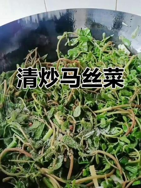 农村野菜有哪些_农村野菜怎么做好吃-第2张图片-山城妙识 农村野菜有哪些_农村野菜怎么做好吃-第2张图片-山城妙识
