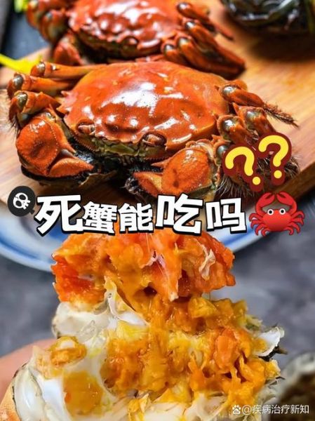 大闸蟹刚死能吃吗_如何判断刚死大闸蟹是否安全-第3张图片-山城妙识 大闸蟹刚死能吃吗_如何判断刚死大闸蟹是否安全-第3张图片-山城妙识
