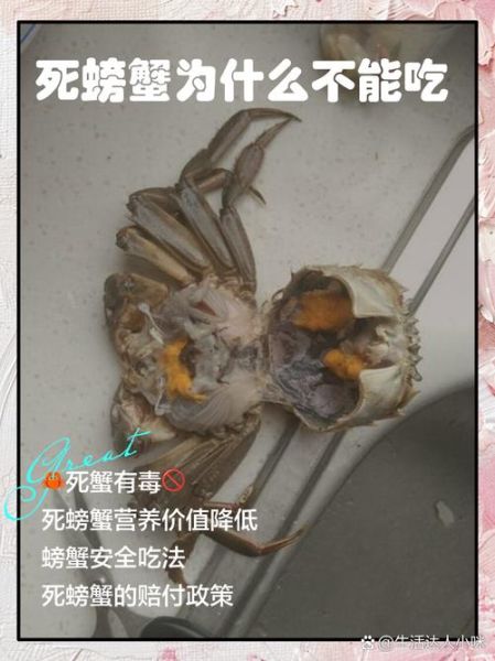 大闸蟹刚死能吃吗_如何判断刚死大闸蟹是否安全-第1张图片-山城妙识 大闸蟹刚死能吃吗_如何判断刚死大闸蟹是否安全-第1张图片-山城妙识
