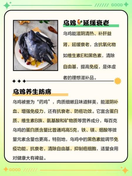 乌鸡的功效与作用_乌鸡的营养价值-第1张图片-山城妙识 乌鸡的功效与作用_乌鸡的营养价值-第1张图片-山城妙识