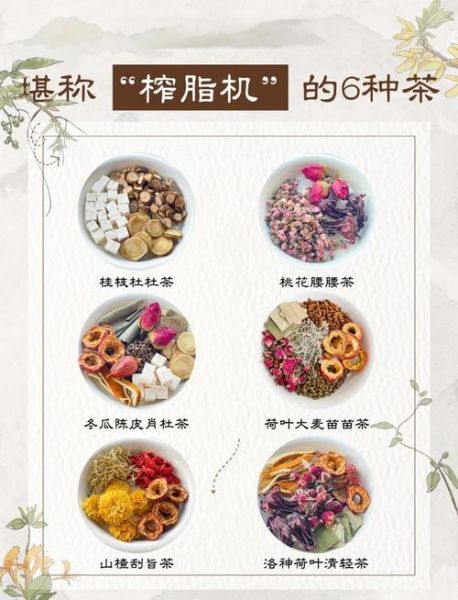 减肥养生茶哪个好_怎么喝才有效-第1张图片-山城妙识 减肥养生茶哪个好_怎么喝才有效-第1张图片-山城妙识