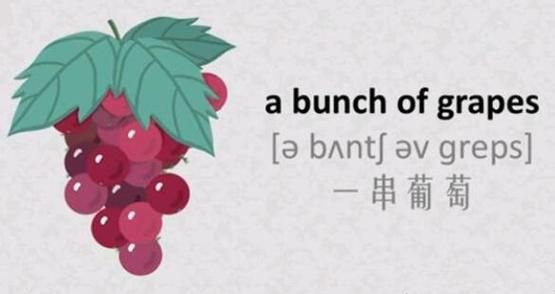 grape英语单词怎么读_grape复数形式是什么-第3张图片-山城妙识 grape英语单词怎么读_grape复数形式是什么-第3张图片-山城妙识