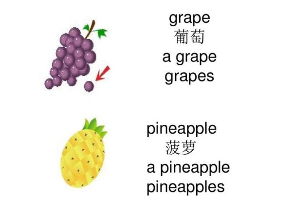 grape英语单词怎么读_grape复数形式是什么-第2张图片-山城妙识 grape英语单词怎么读_grape复数形式是什么-第2张图片-山城妙识