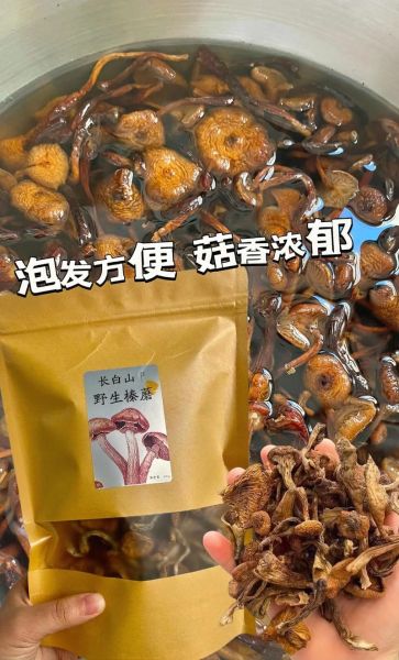 榛蘑菇图片怎么辨别真假_榛蘑菇图片高清细节有哪些-第2张图片-山城妙识 榛蘑菇图片怎么辨别真假_榛蘑菇图片高清细节有哪些-第2张图片-山城妙识