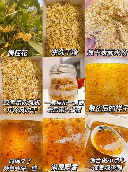 桂花怎么处理才能吃_桂花食用前必做的步骤-第2张图片-山城妙识 桂花怎么处理才能吃_桂花食用前必做的步骤-第2张图片-山城妙识