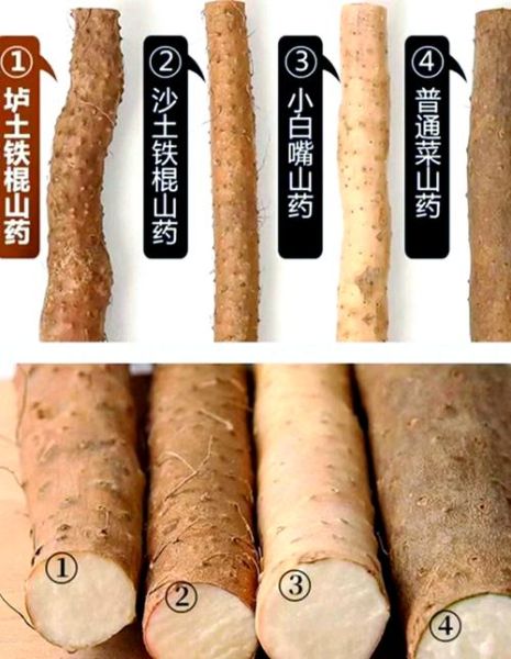 淮山和山药的区别图_哪个更好-第1张图片-山城妙识 淮山和山药的区别图_哪个更好-第1张图片-山城妙识