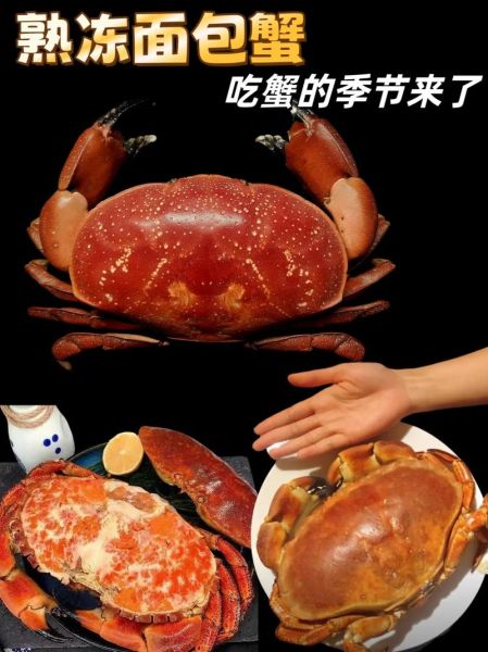 面包蟹和珍宝蟹的区别_哪个更好吃-第3张图片-山城妙识 面包蟹和珍宝蟹的区别_哪个更好吃-第3张图片-山城妙识